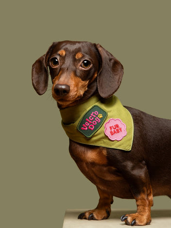 Shop Funky Art, Gifts & Treats at Outside the Box – Outside The Box